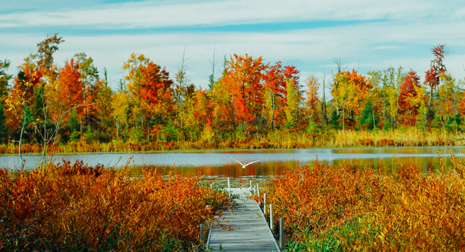 Embrace Autumn in America’s Heartland - The Group Travel Leader | Group ...