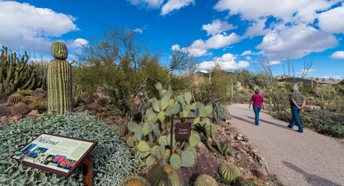 A Desert Spring in Tucson - The Group Travel Leader | Group Tour and ...