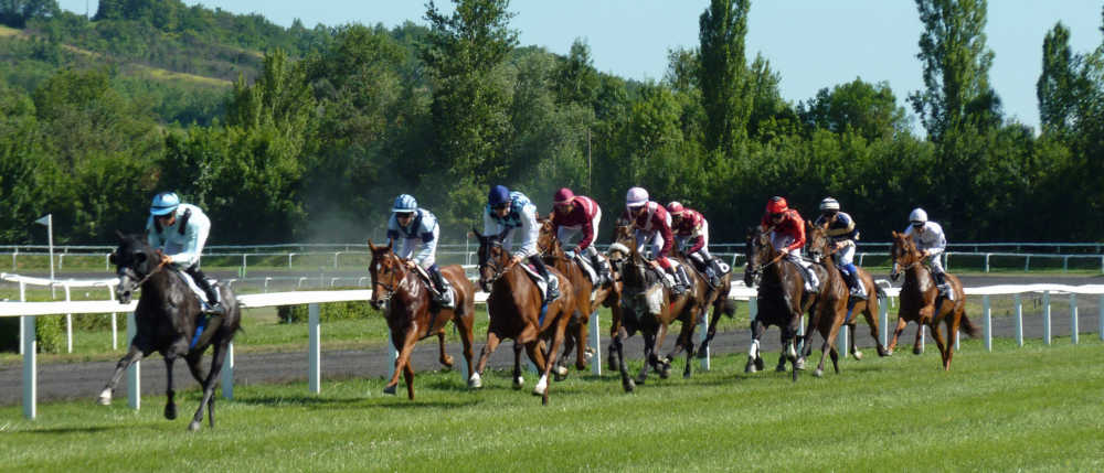 Group Game: Bus Horse Racing - The Group Travel Leader | Group Tour and ...