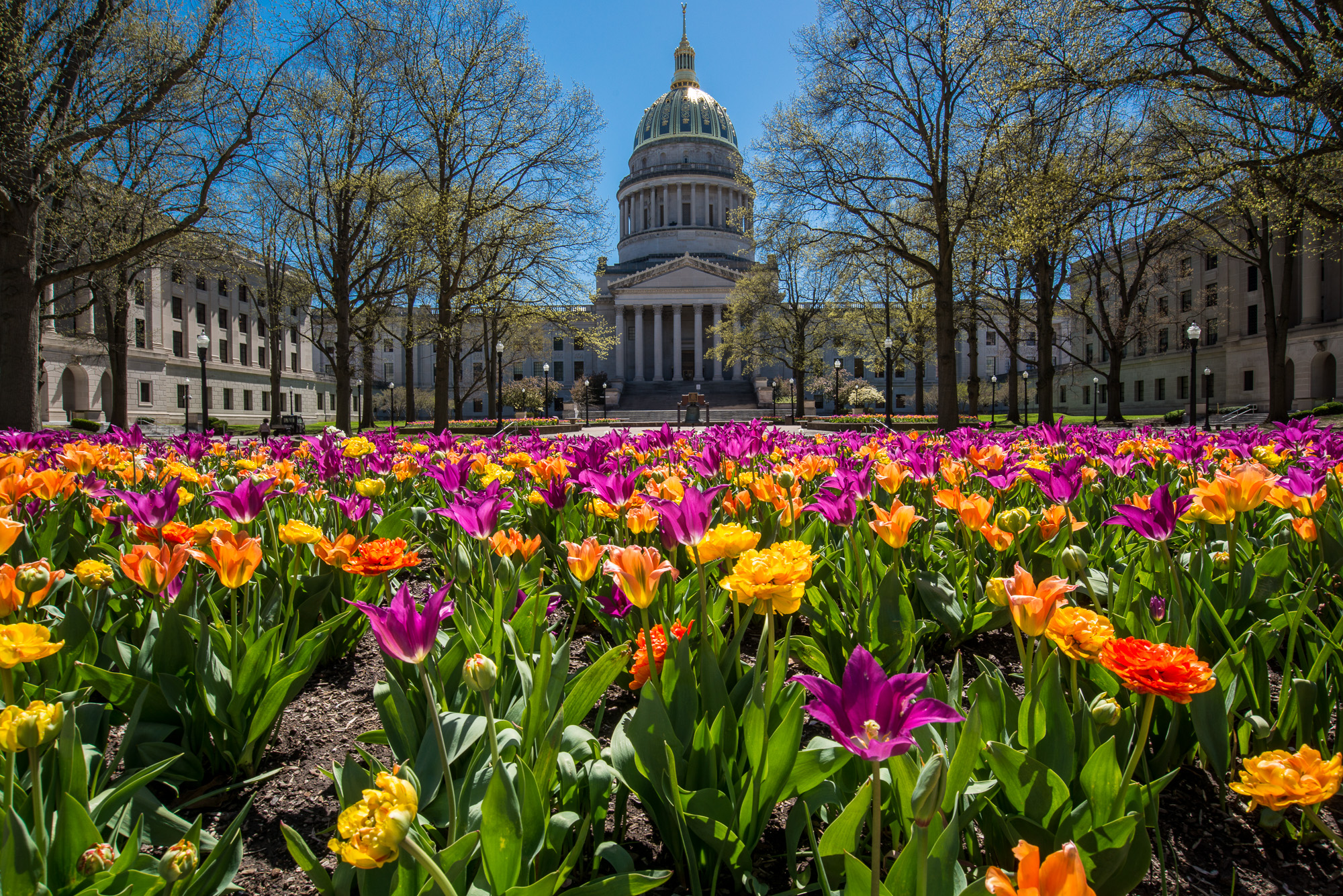 Capitol-Flowers - The Group Travel Leader | Group Tour and Travel ...