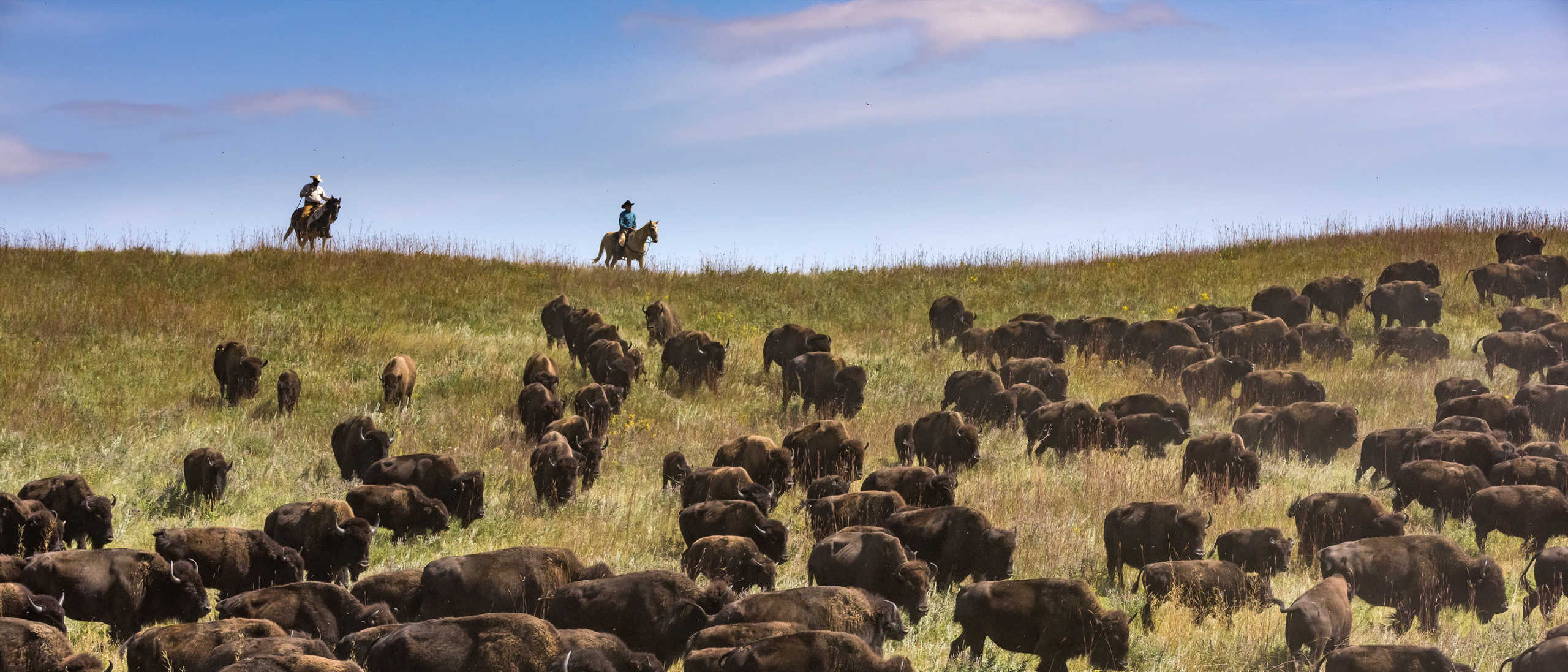 The Bad and Beautiful Black Hills - The Group Travel Leader | Group ...