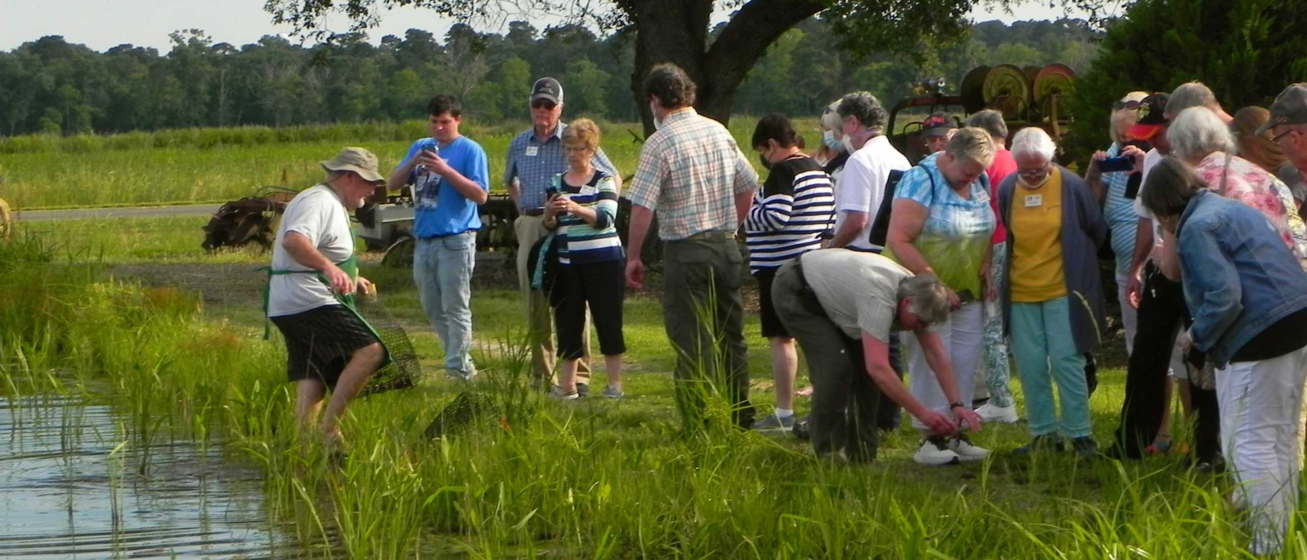 Experience Cajun Harvest at Kelly's Landing - The Group Travel Leader ...